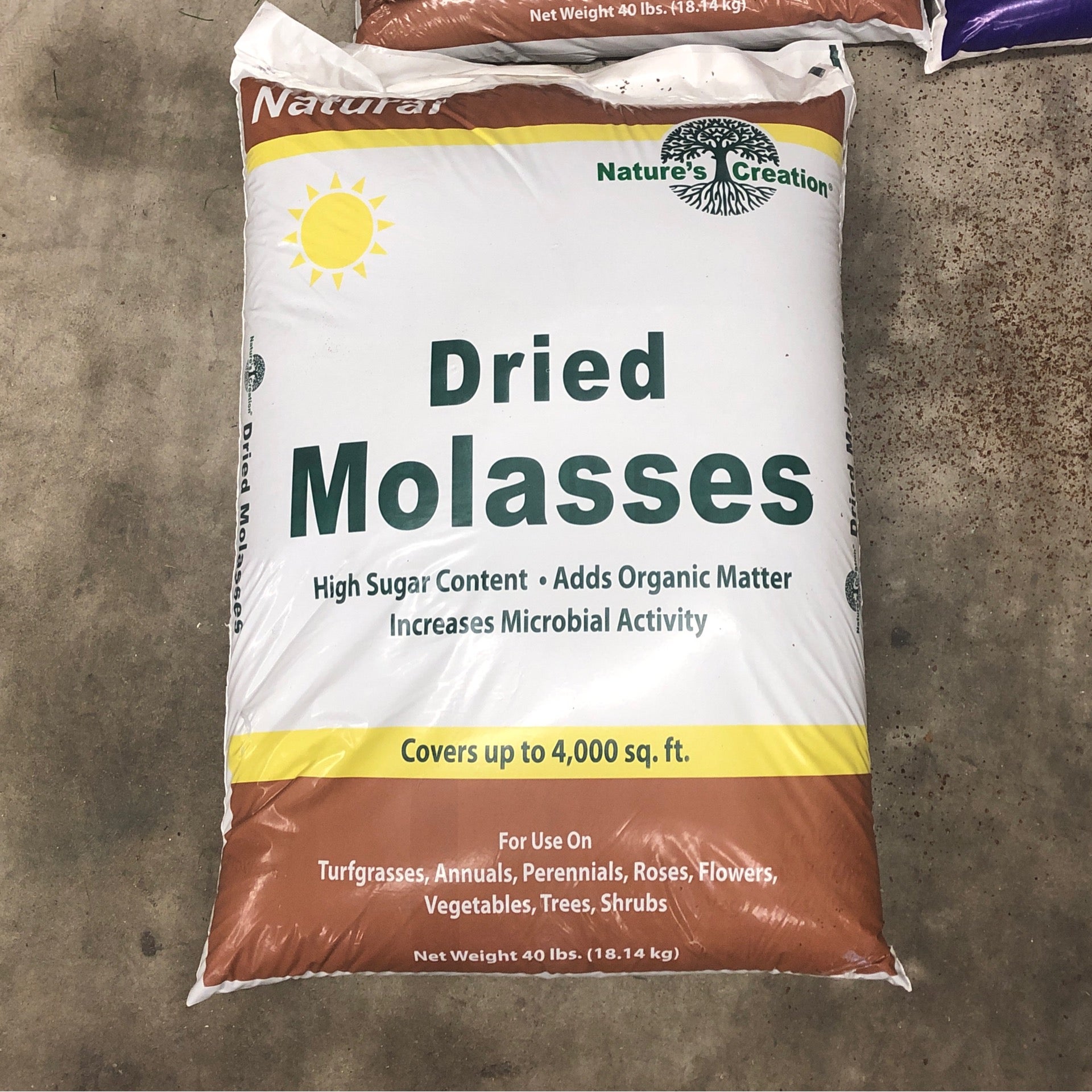 Dried Molasses | Garden Seventeen